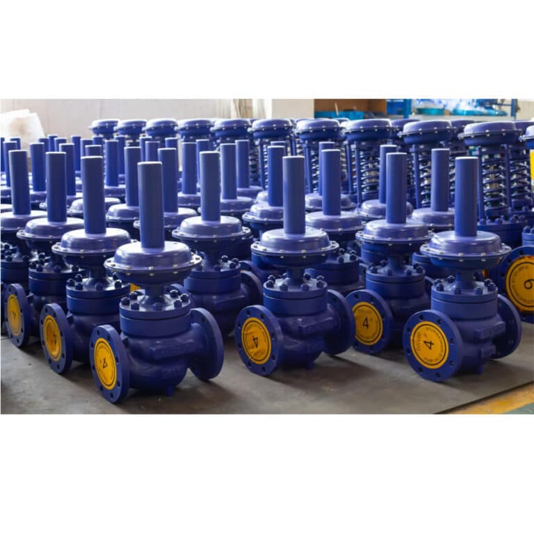 GBV Series N2 Blanketing Valve | THINKTANK