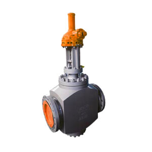 The Best Blowdown Valve Supplier | THINKTANK