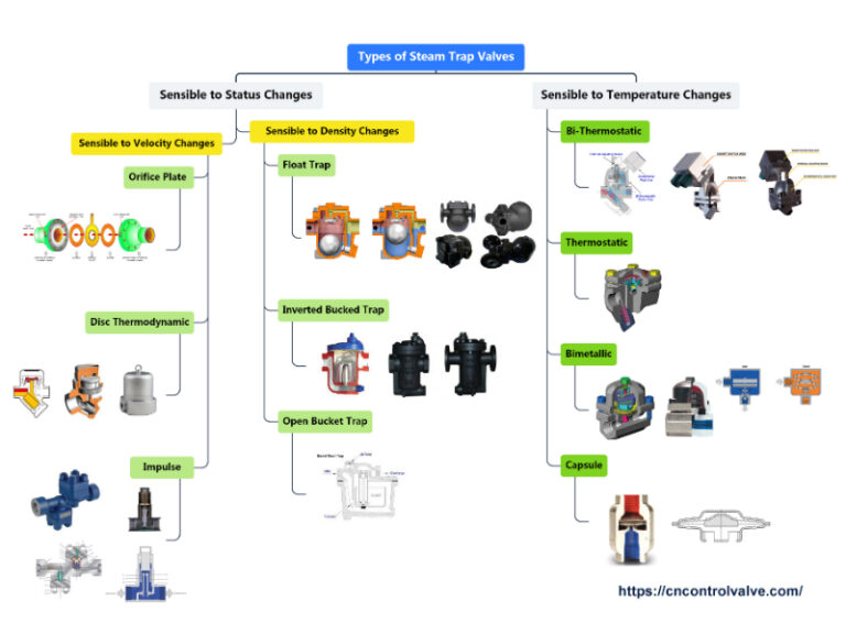 Steam Traps 101 | THINKTANK
