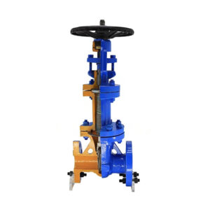 DIN Gate Valve with Bellows | THINKTANK