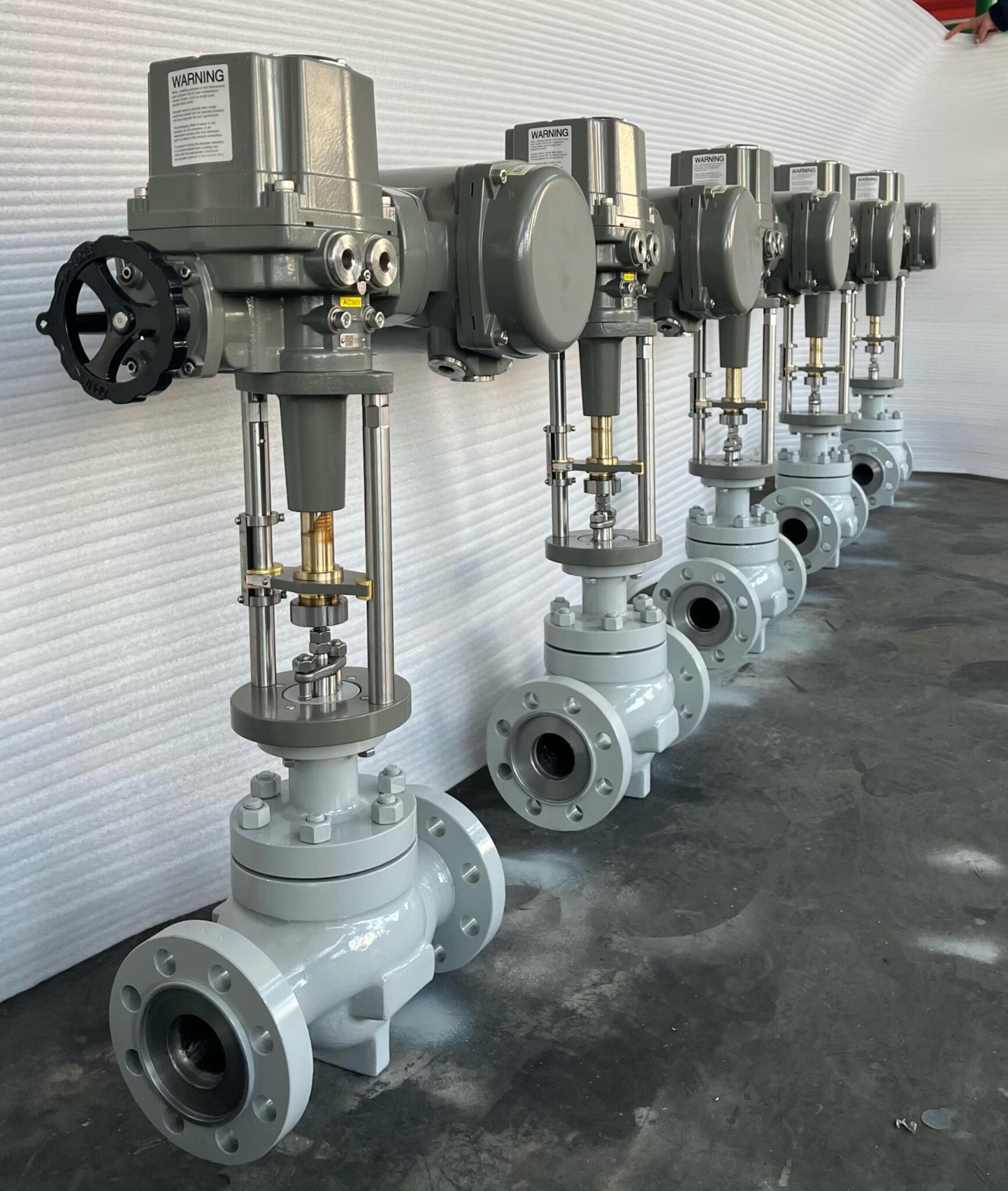 Electric Globe Type Control Valves DN250 | THINKTANK