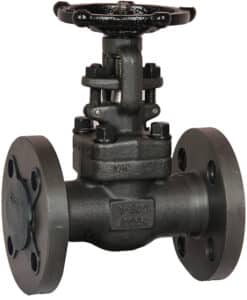 Comprehensive Guide to Forged Steel Valve A105N | THINKTANK